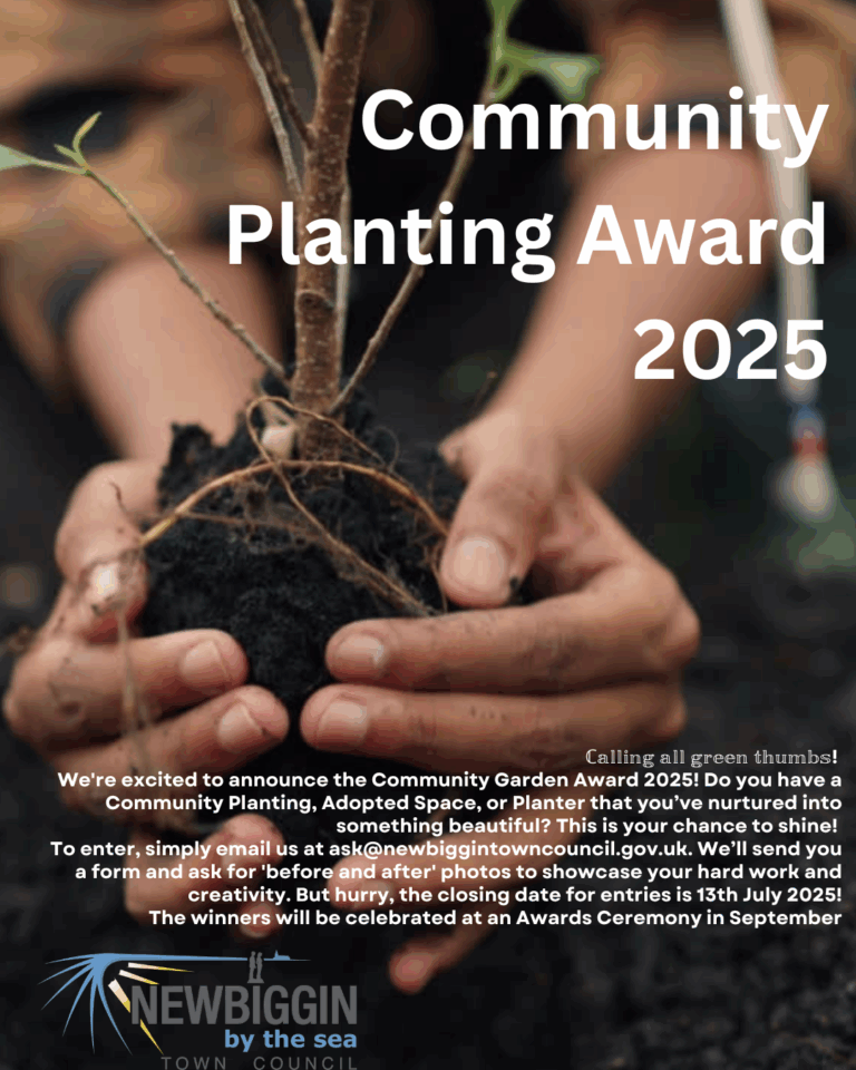 The Community Planting Award 2025 - Newbiggin by the Sea Town Council
